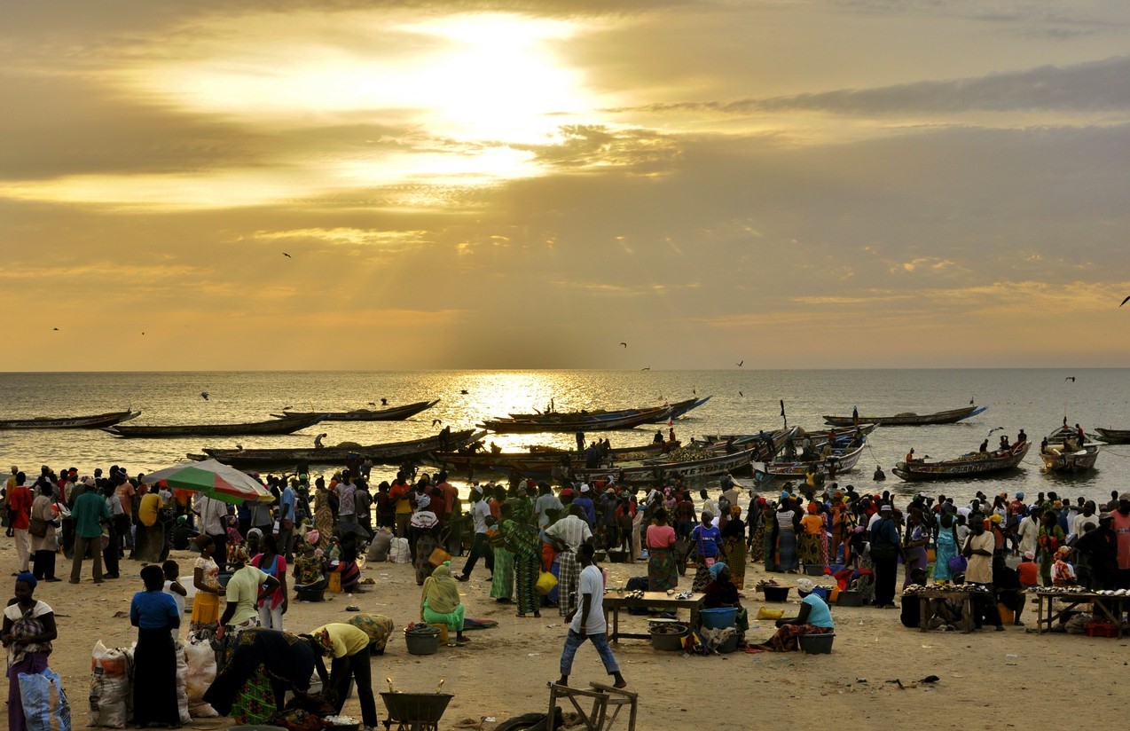 Kijk je ogen uit bij de Tanji fishing village | THE GAMBIA SANTOSU TOURS